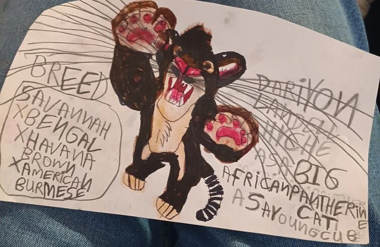 Discuss Everything About NatureRules1 Wiki | Fandom