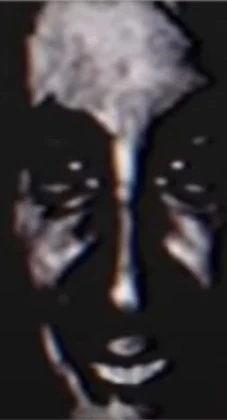 bunny simps: | Fandom