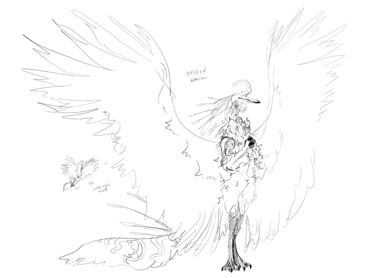 orchid, the banishii | Fandom