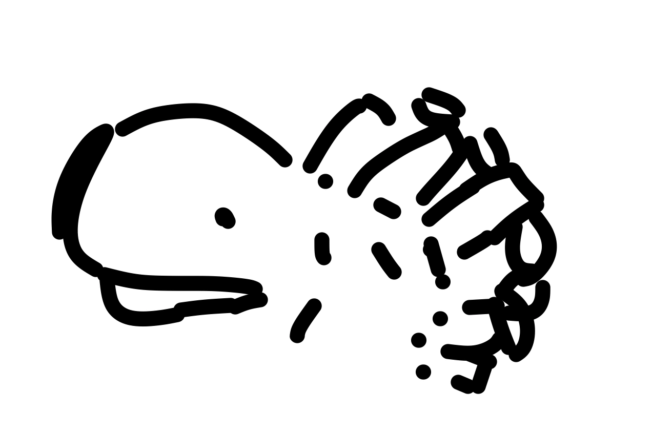 Lobotomy sharko | Fandom