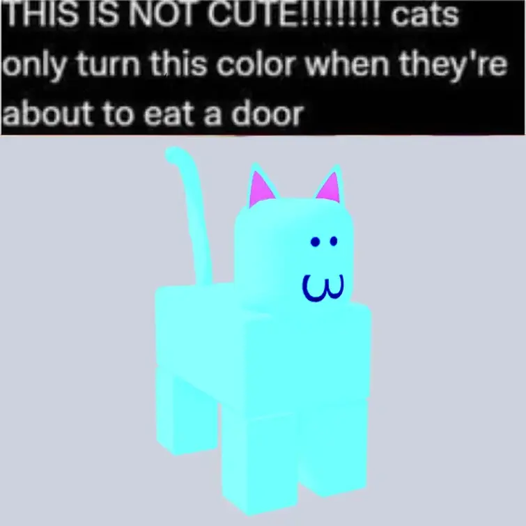 We should all bully mathematics teacher again | Fandom