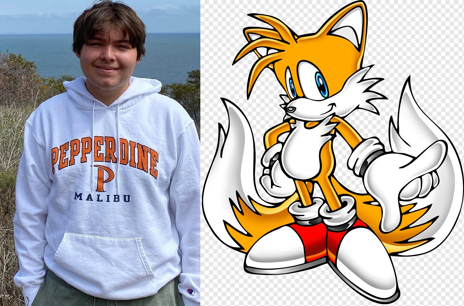 My Sonic Dream cast: Justin Felbinger as Tails the fox | Fandom