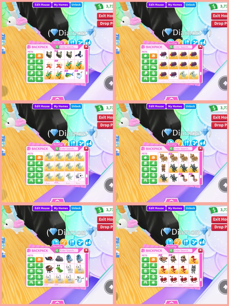 Discuss Everything About Adopt Me! Wiki | Fandom