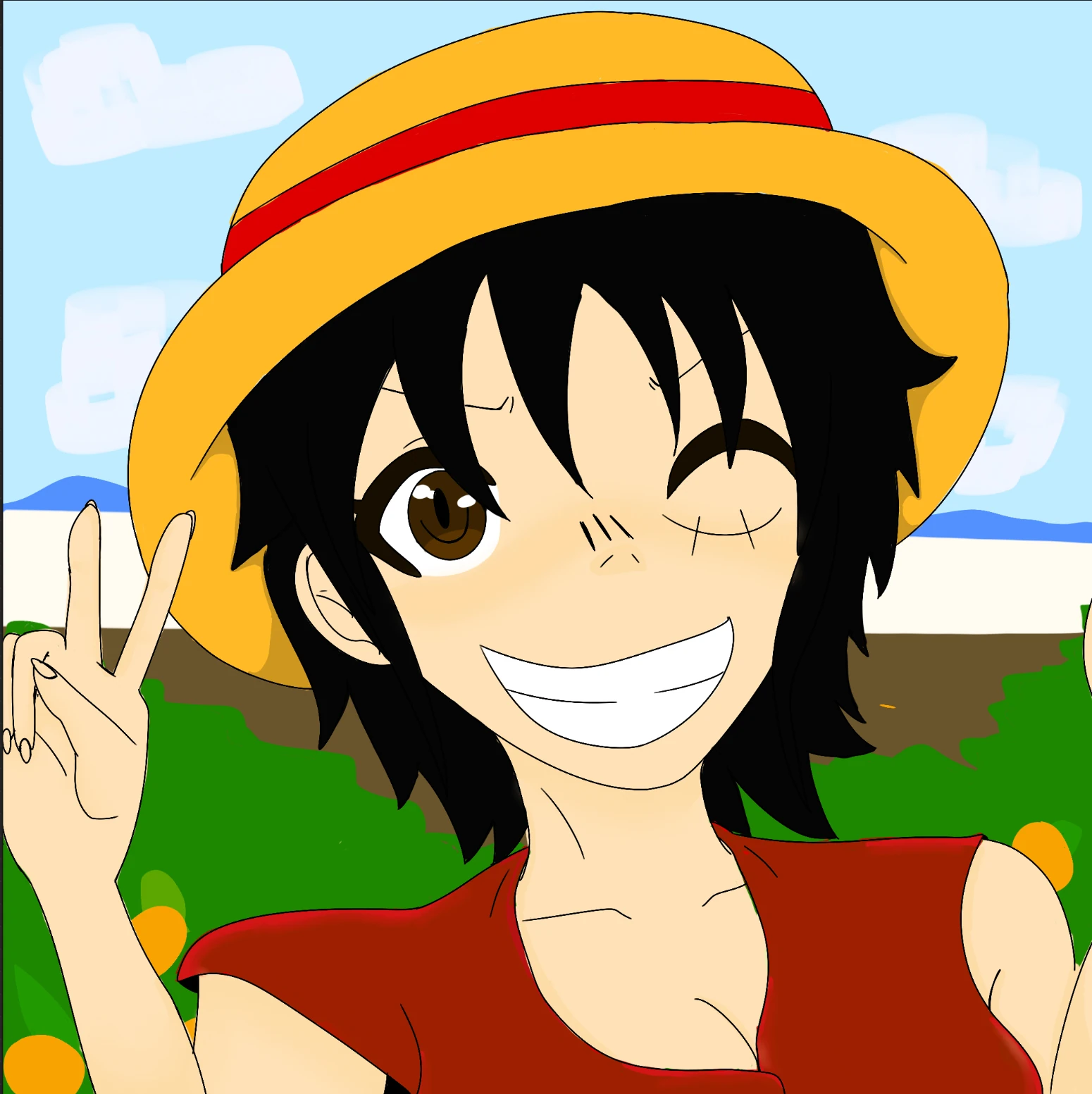 Gender bent Luffy… | Fandom