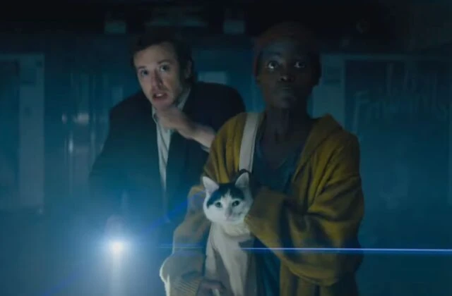 Photos to add to the cat Frodo's page | Fandom