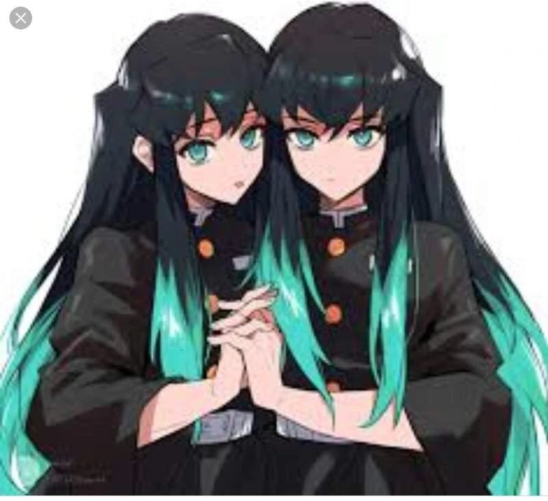 which one is muichiro and which one is yuichiro | Fandom