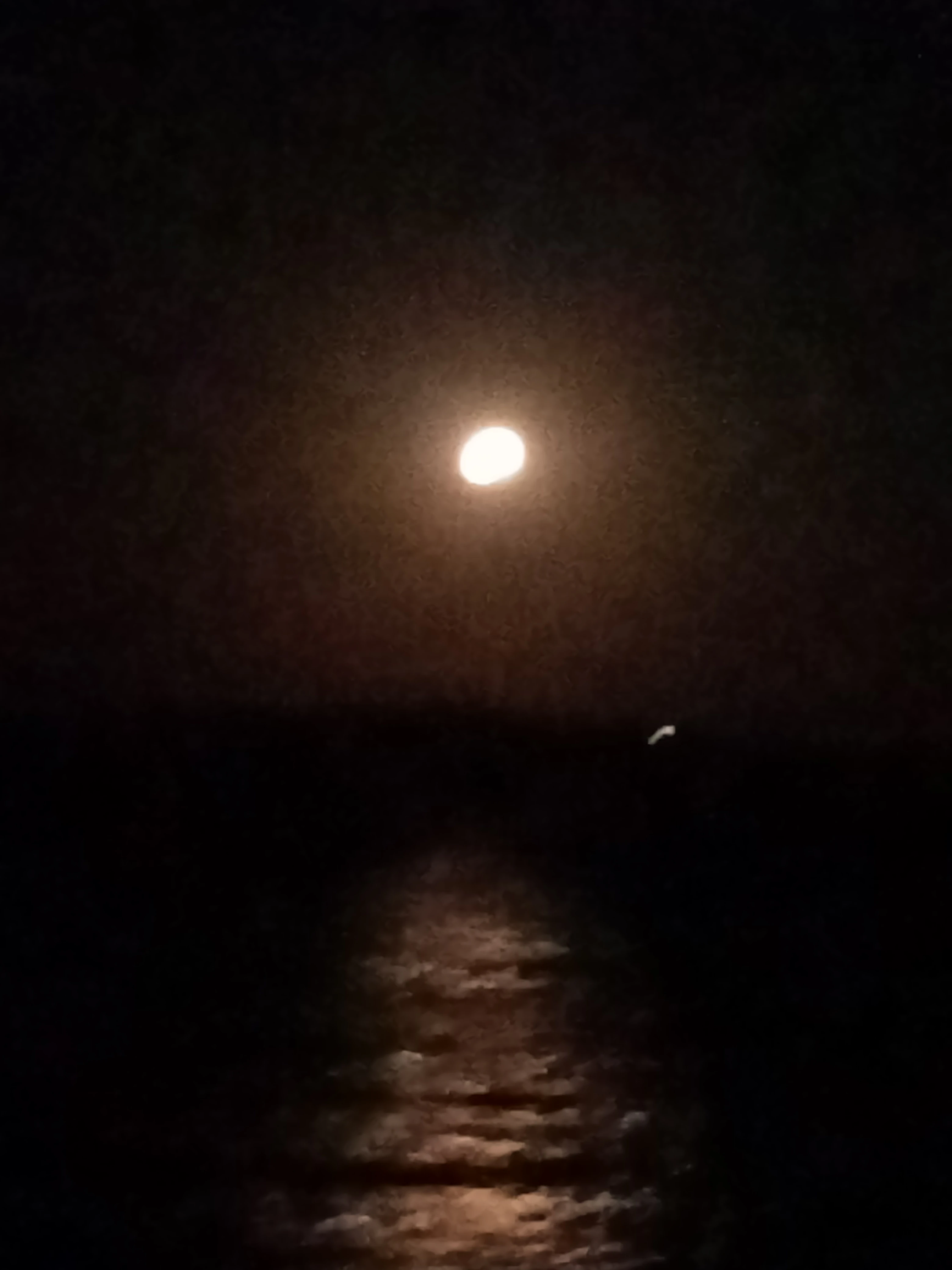 Can't wait my fruits to be Bloodlit! | Fandom