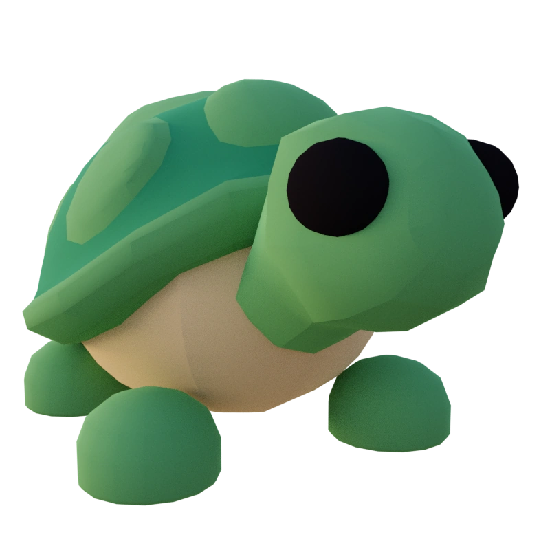 drawing of a turtle | Fandom