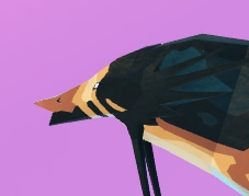 More bald creatures + bald request | Fandom