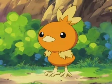 I’m doing a Ruby Nuzlocke and I need help picking the starter | Fandom