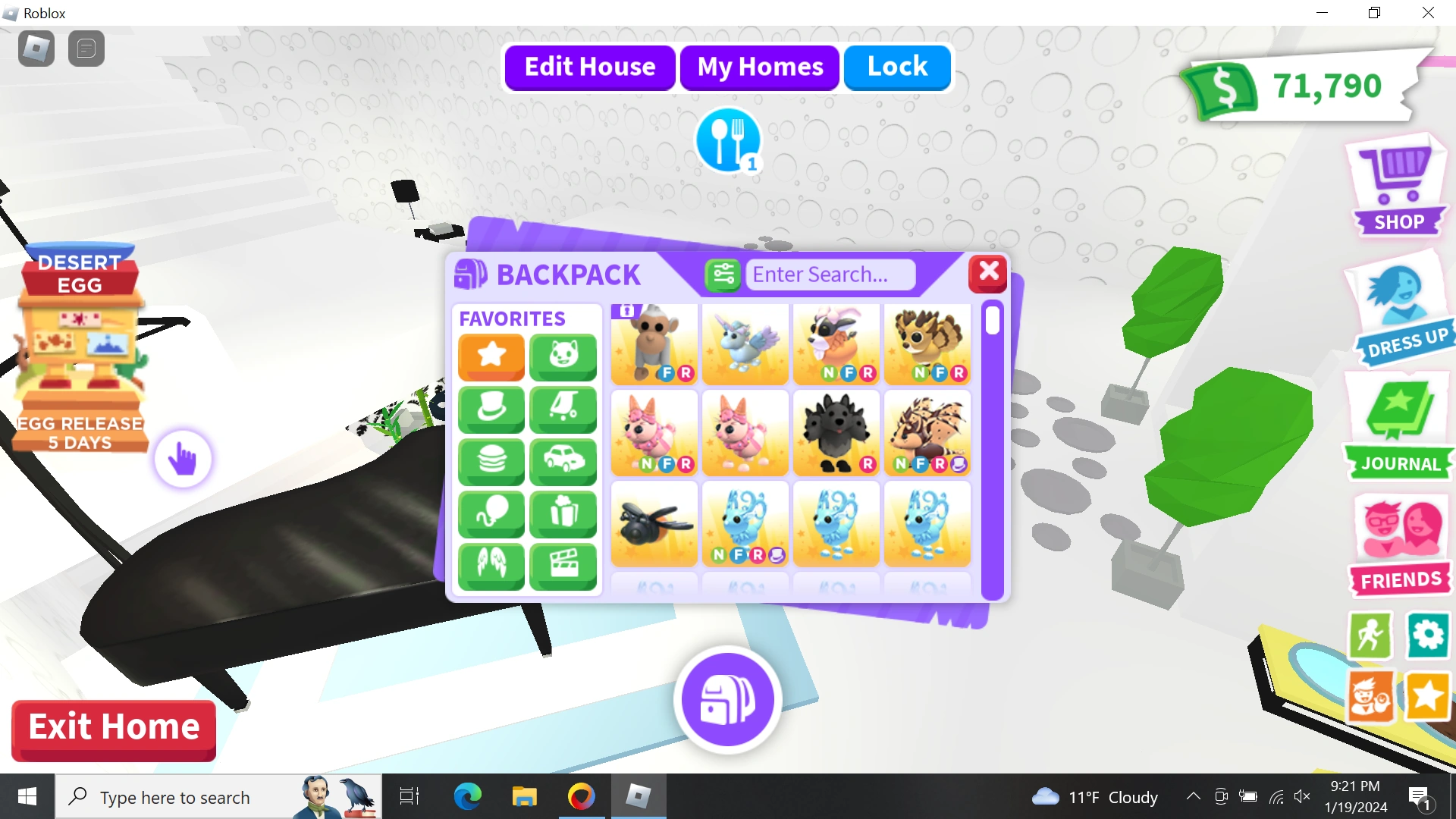 Everything I've gained since being back on adopt me :] | Fandom