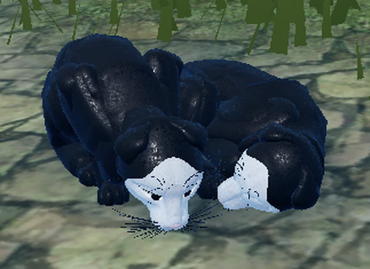 intruder/six cosplay in warrior cats: ultimate edition | Fandom