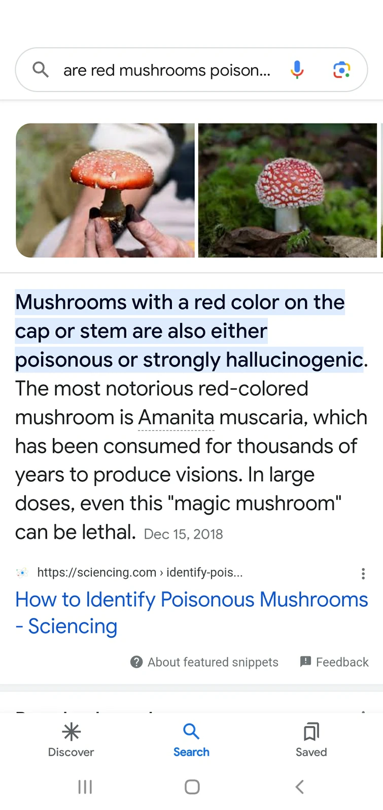 He offers you mushroom | Fandom