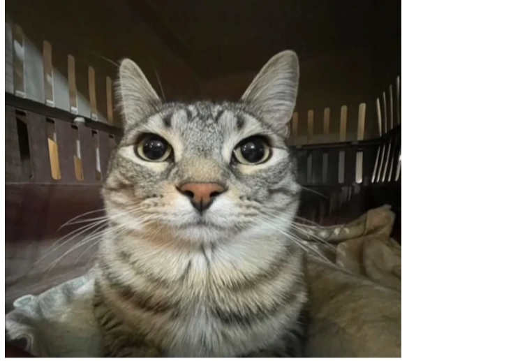 rage is consuming me | Fandom