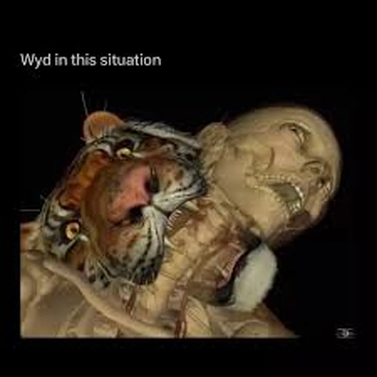 Wyd in this situation? | Fandom