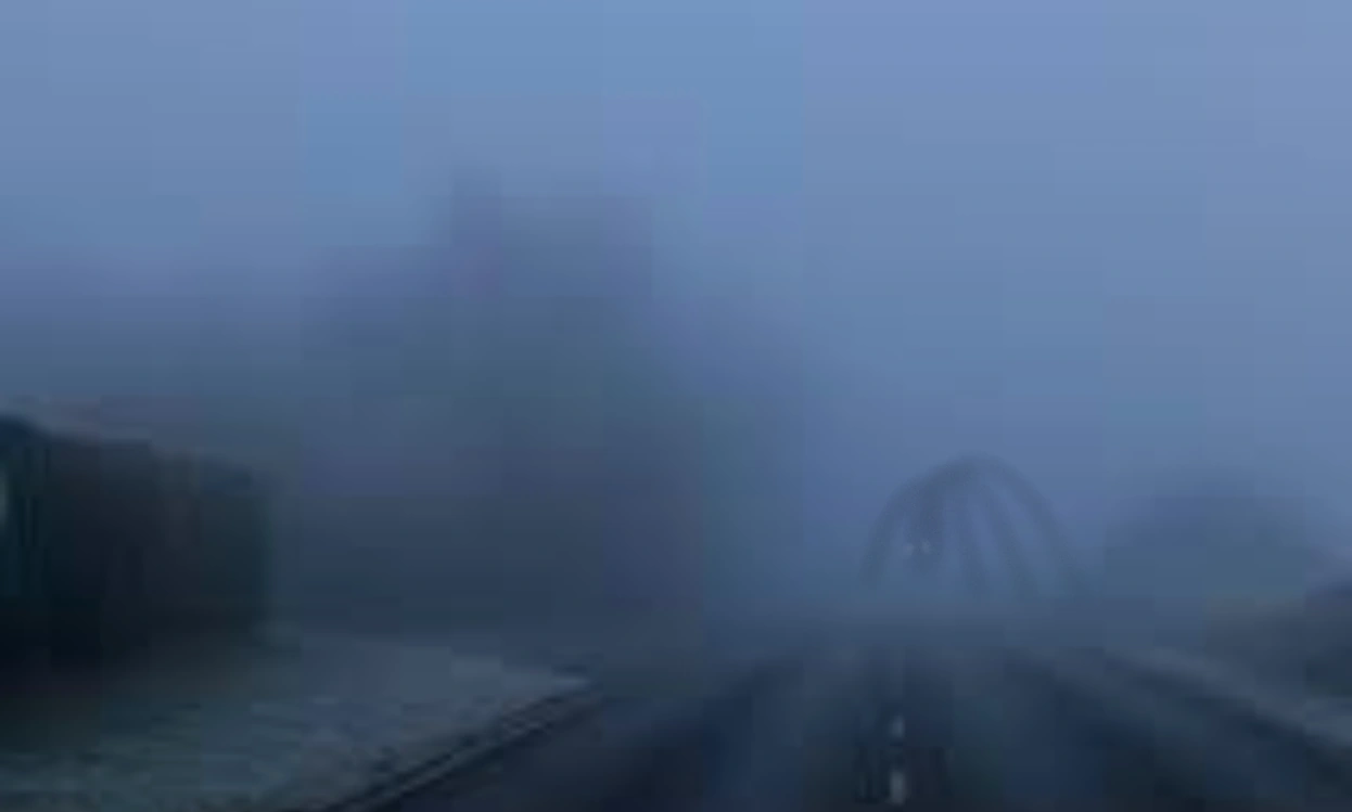 'Fog Entity' | Fandom