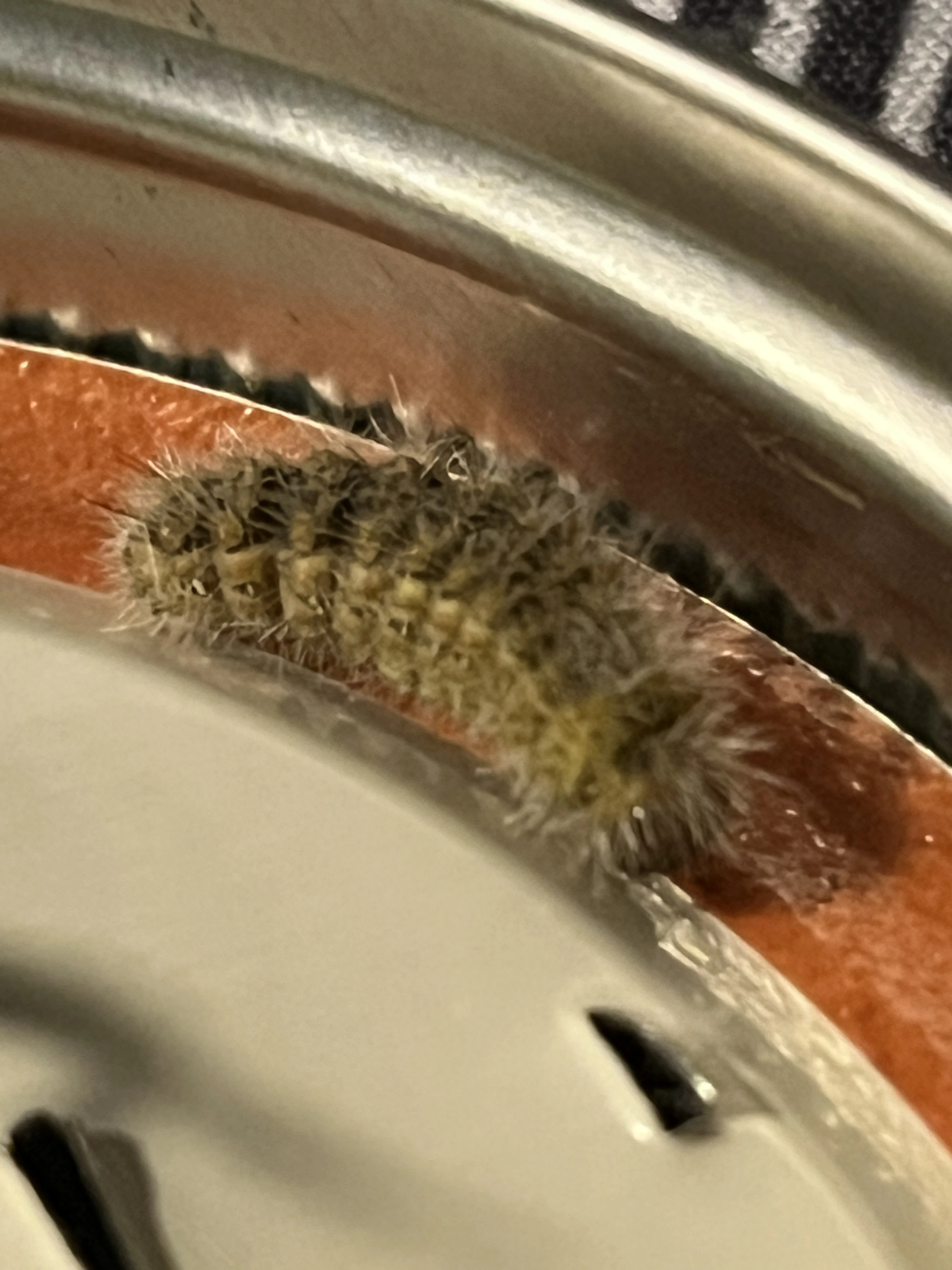 My adorable little baby | Fandom