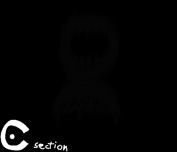 c section is a cool section | Fandom