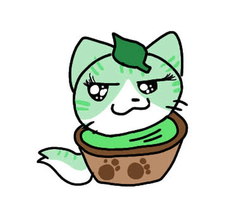 Green tea cat | Fandom