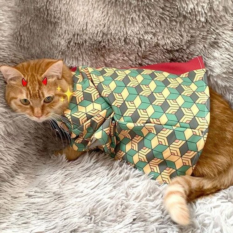 Kimetsu No Yaiba characters as cats | Fandom