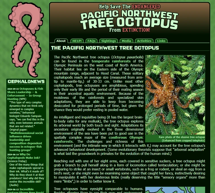 Help Save The ENDANGERED PACIFIC NORTHWEST TREE OCTOPUS From EXTINCTION ...