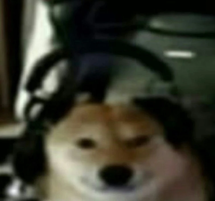 rate my pfp | Fandom