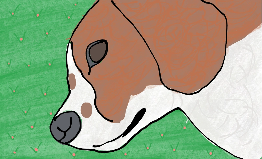 I DREW MY DOG AND ITS JUST EEE | Fandom
