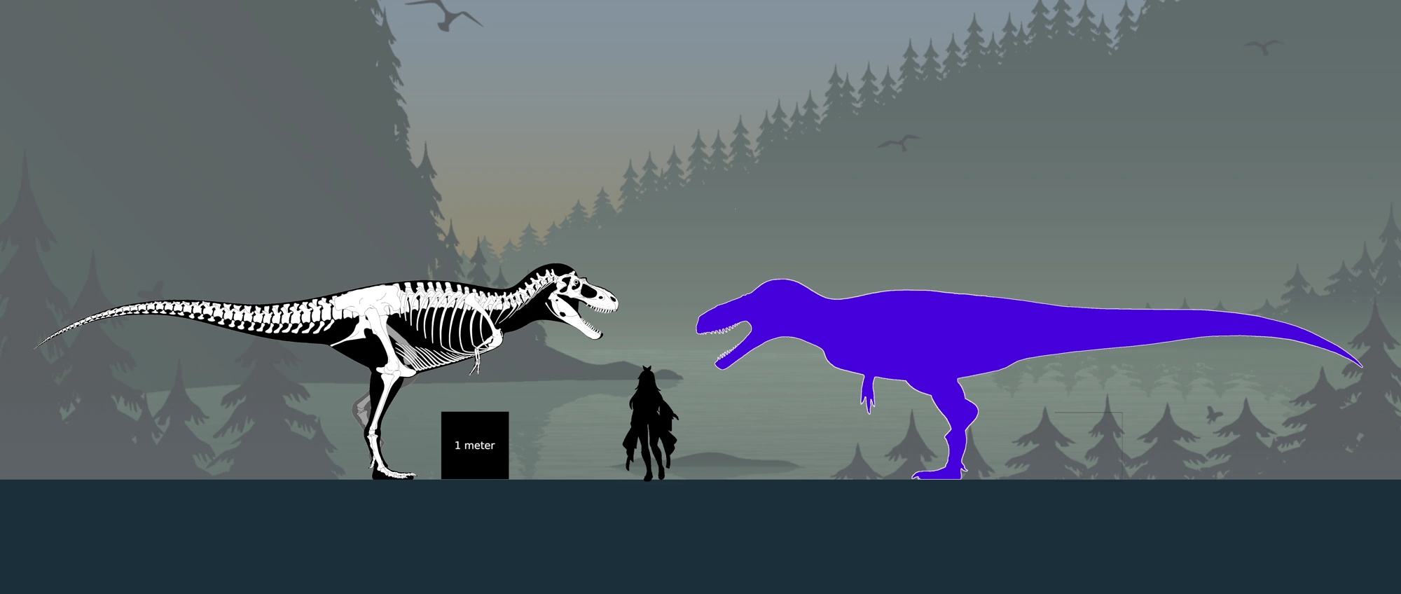 Its been a long time, here's *Based size comparisons 20.0 ...