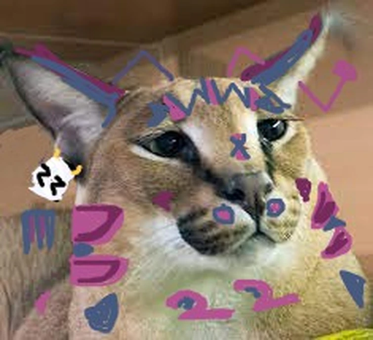 Discuss Everything About The Raise a Floppa Wiki | Fandom