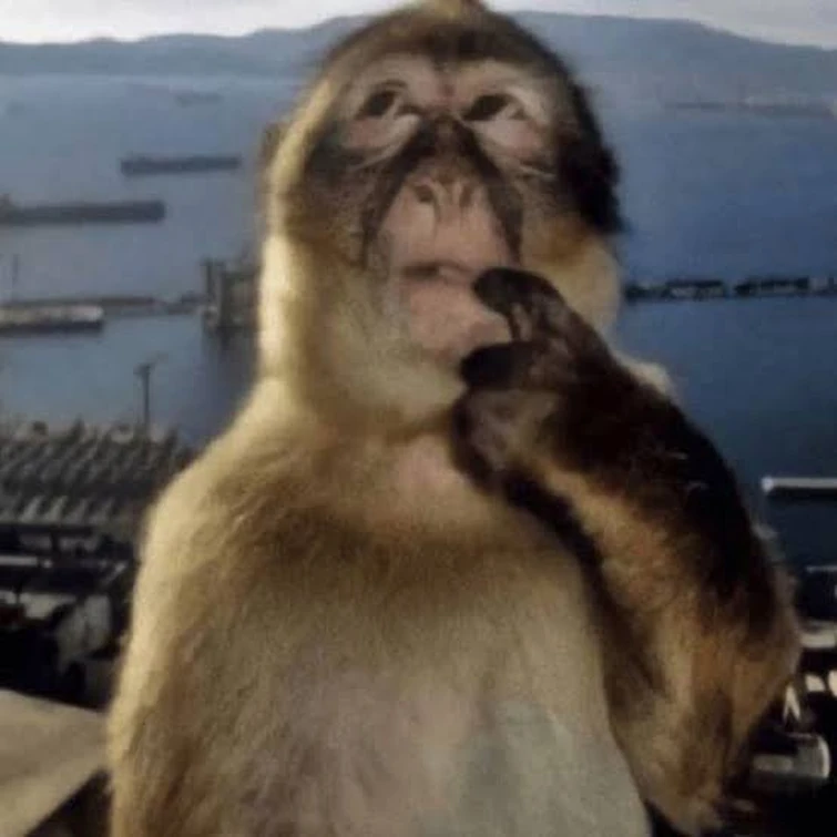 Broker and Brenda | Fandom