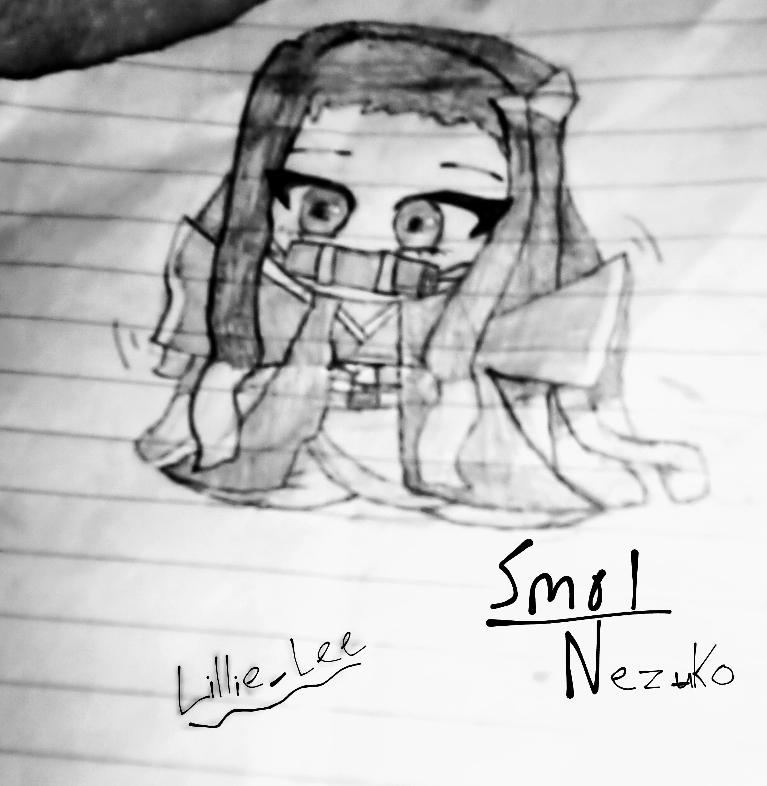 Baby Nezuko ️ ️ ️ | Fandom