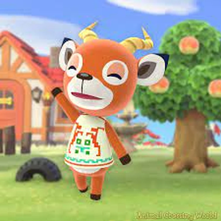 Discuss Everything About Animal Crossing Wiki | Fandom