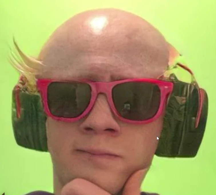 Bald minitoon is best minitoon | Fandom