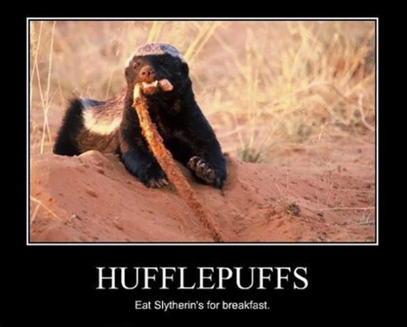 Hufflepuff Memes | Fandom