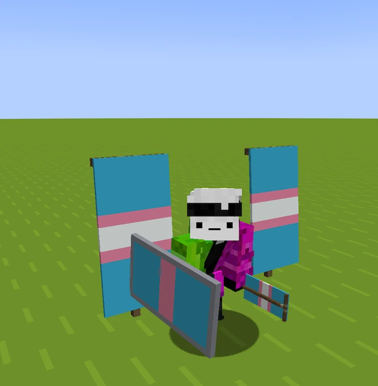 a couple pride flags and shields in mc | Fandom