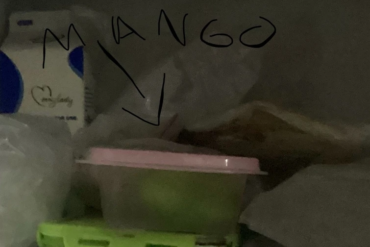 FROZEN MANGO | Fandom