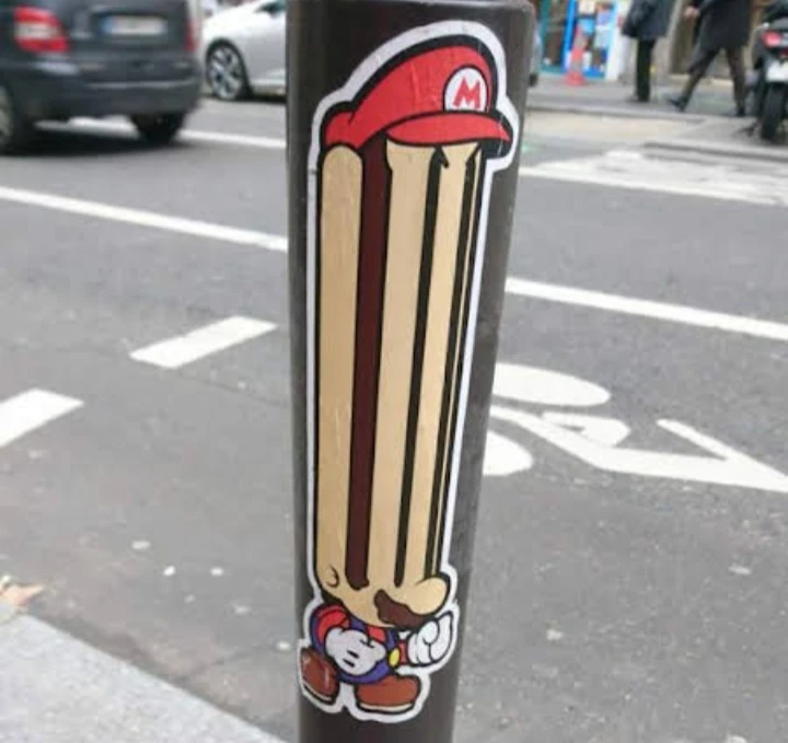 poleper mario | Fandom