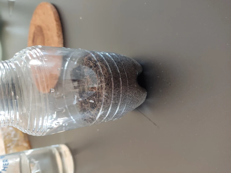 Discuss Everything About Lost Cities Keeper Wiki | Fandom