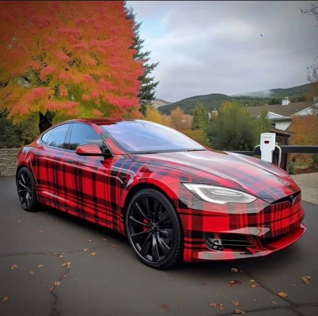 Tesla Model S Plaid. Literally. | Fandom