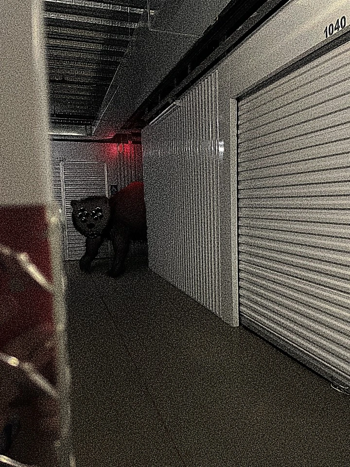 Spike Bear Art Project | Fandom