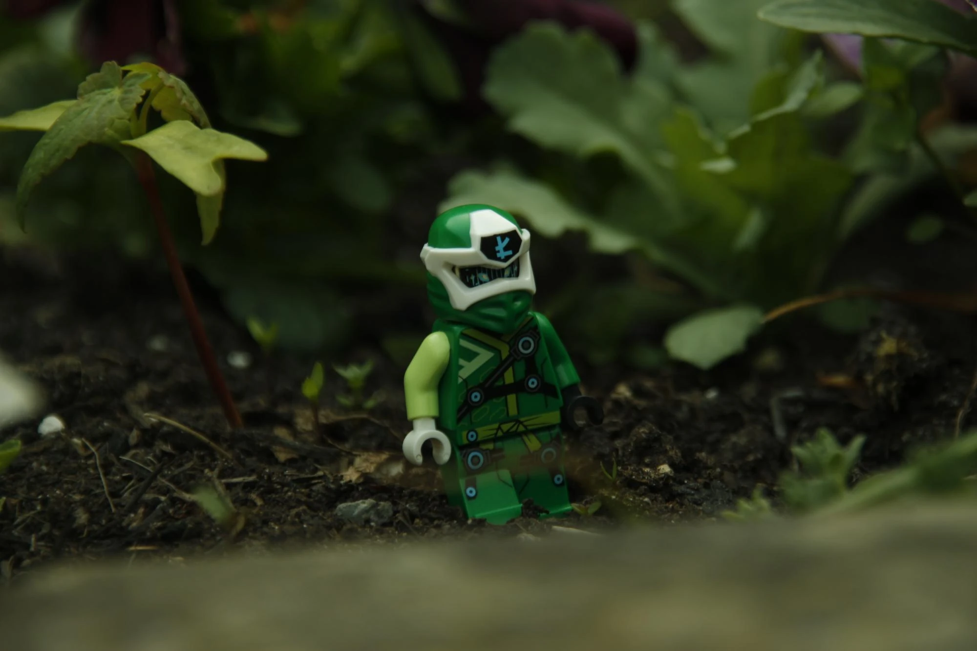 Posting a Lego photo everyday | Fandom