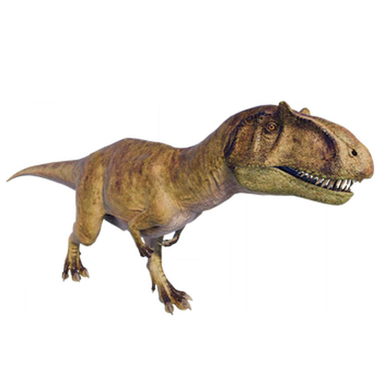 Dino fast Monster my special event medium sized preditors race | Fandom