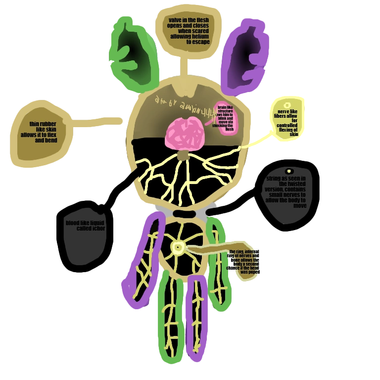 i made a bio diagram from looey | Fandom