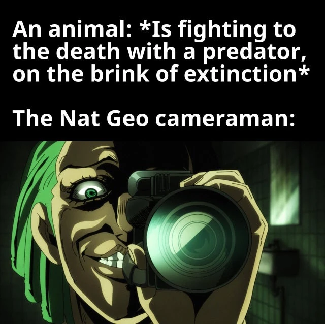 Meme I’ve been waiting 4- no, 5000 years to share part 2 | Fandom