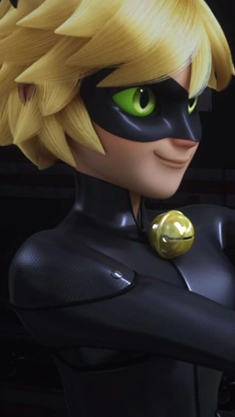 Cat noir??? | Fandom