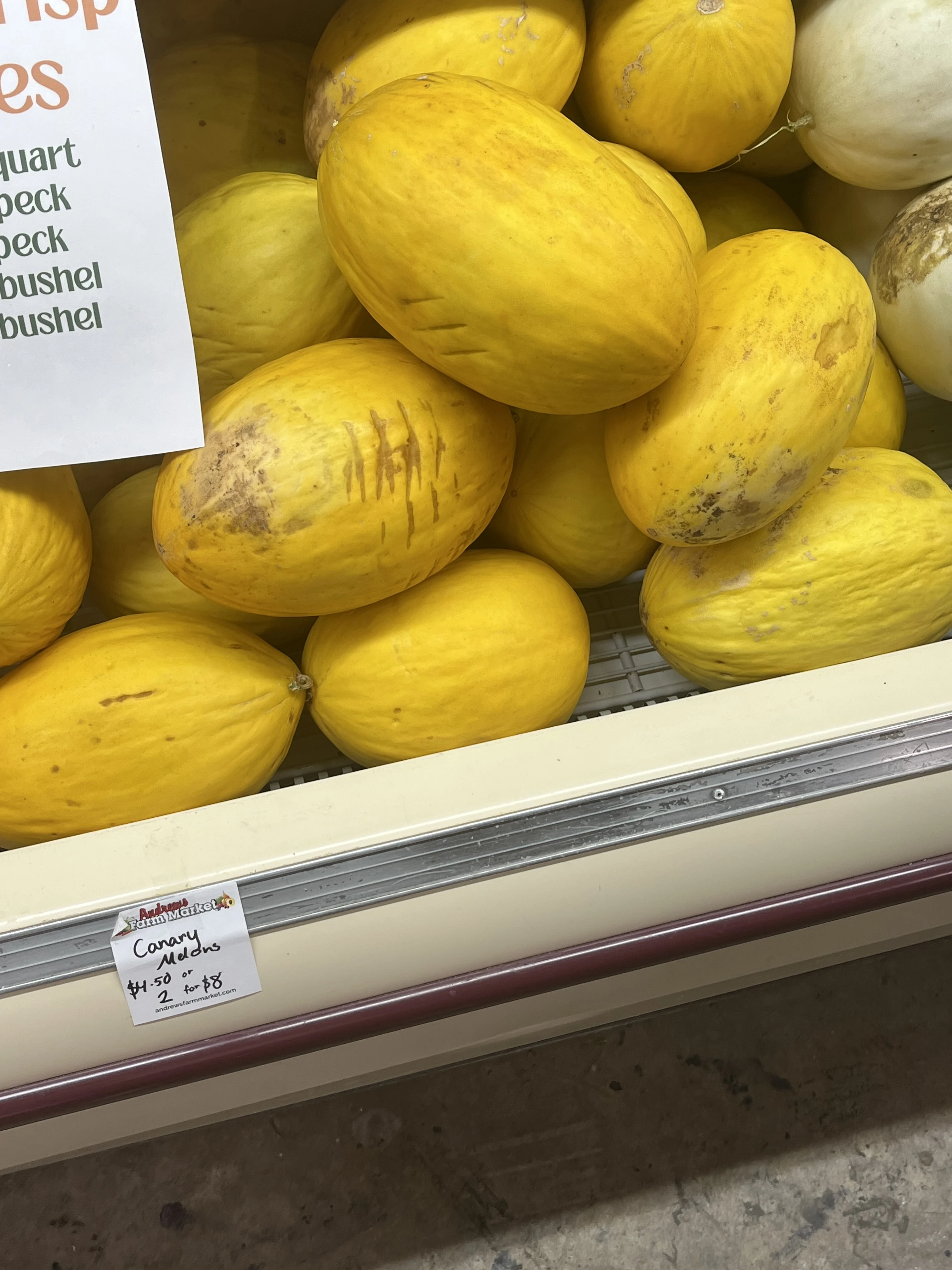 Canary melons | Fandom