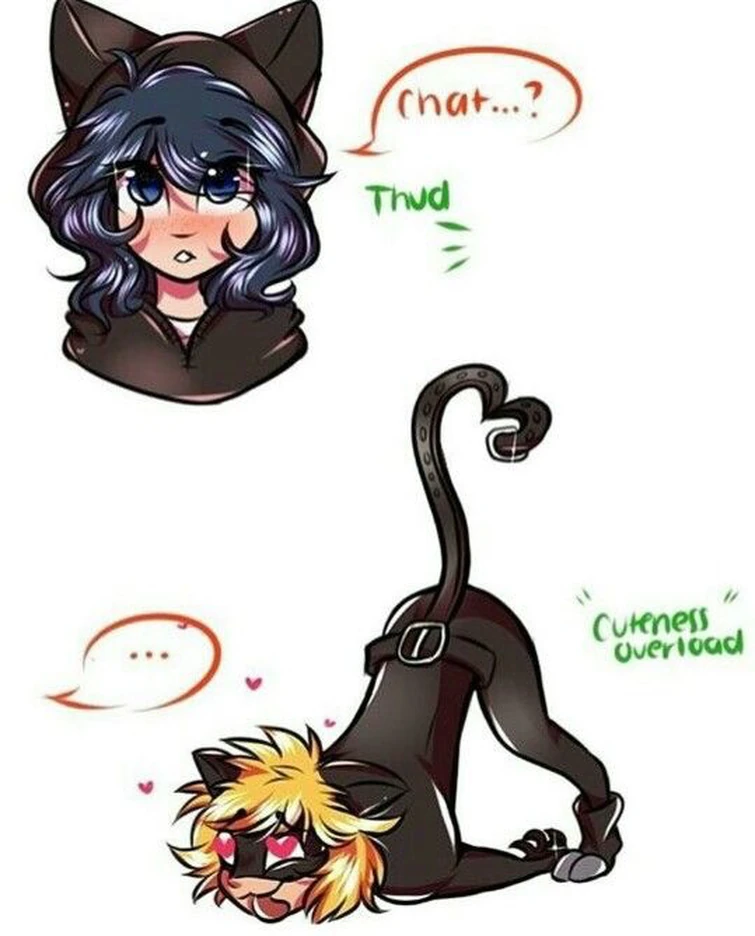 Cute Marichat | Fandom
