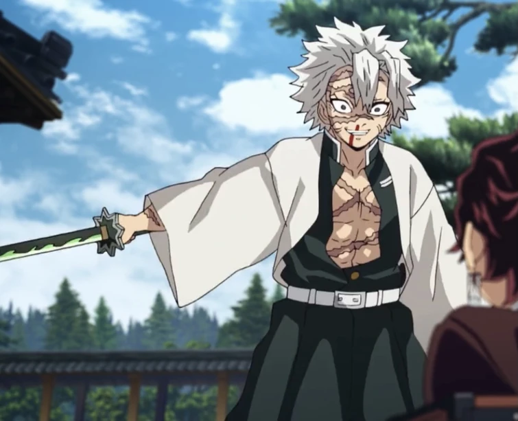 Me casually watching the Hashira Meeting for the 6th time | Fandom