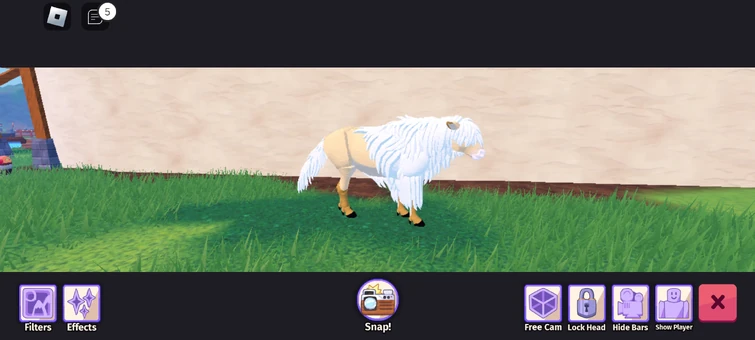 Discuss Everything About Horse Life Wiki | Fandom
