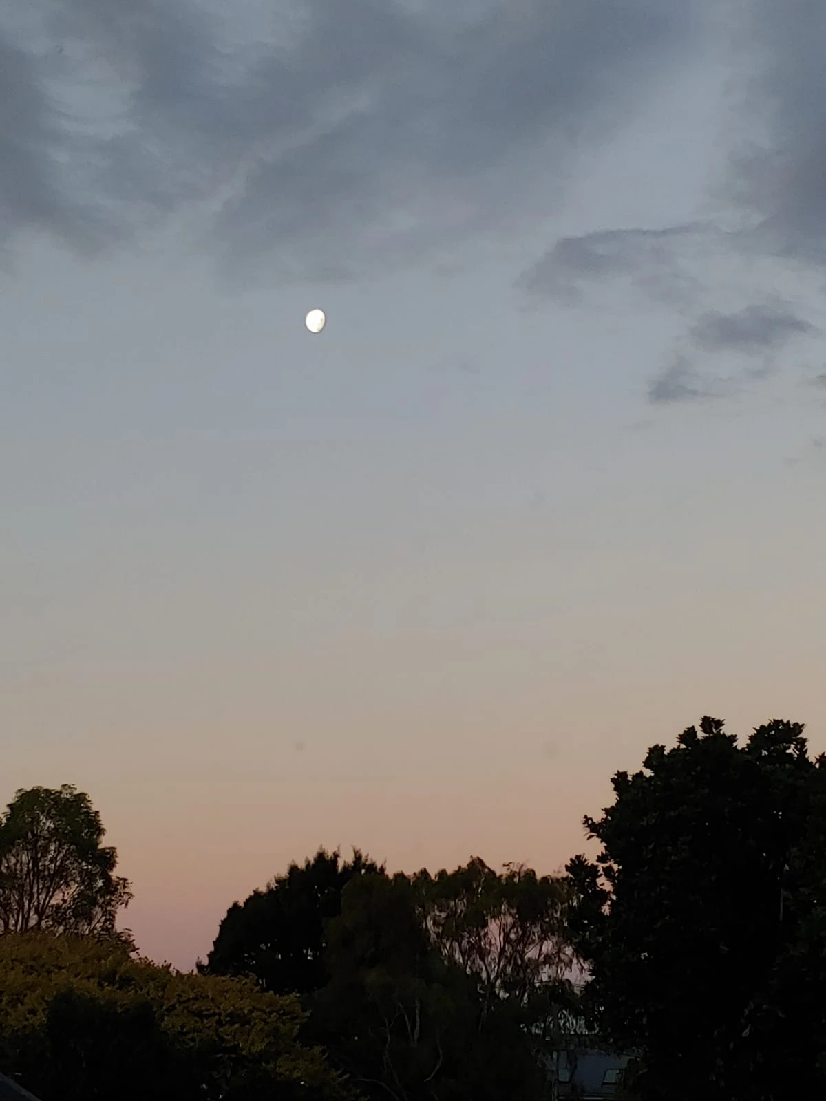 Sunset | Fandom